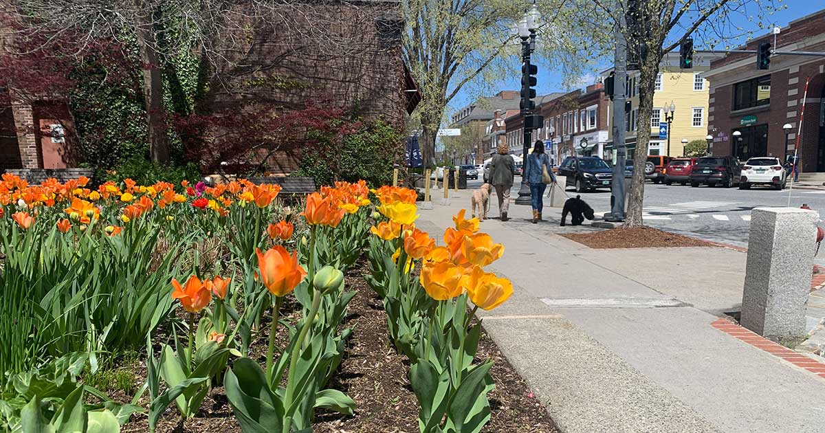 Get Involved | Hanover Sustainability Master Plan